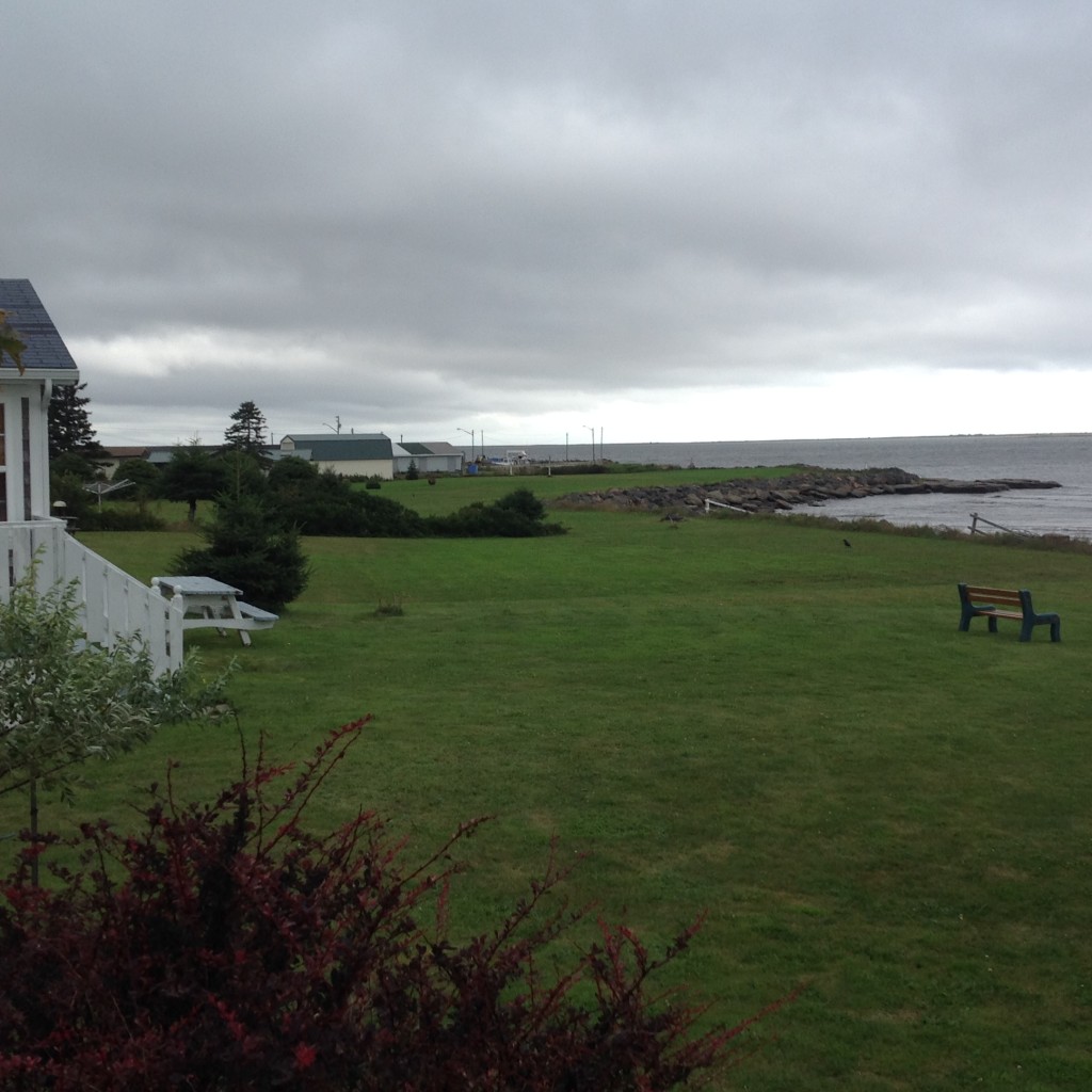 Julie Hébert | Los Angeles Writer/Director Canadian Documentary - Julie ...